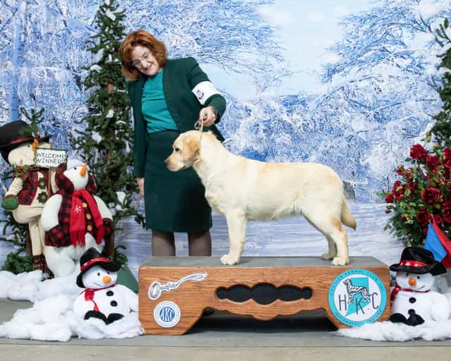 Natasha + Fish | LaPoe Labradors