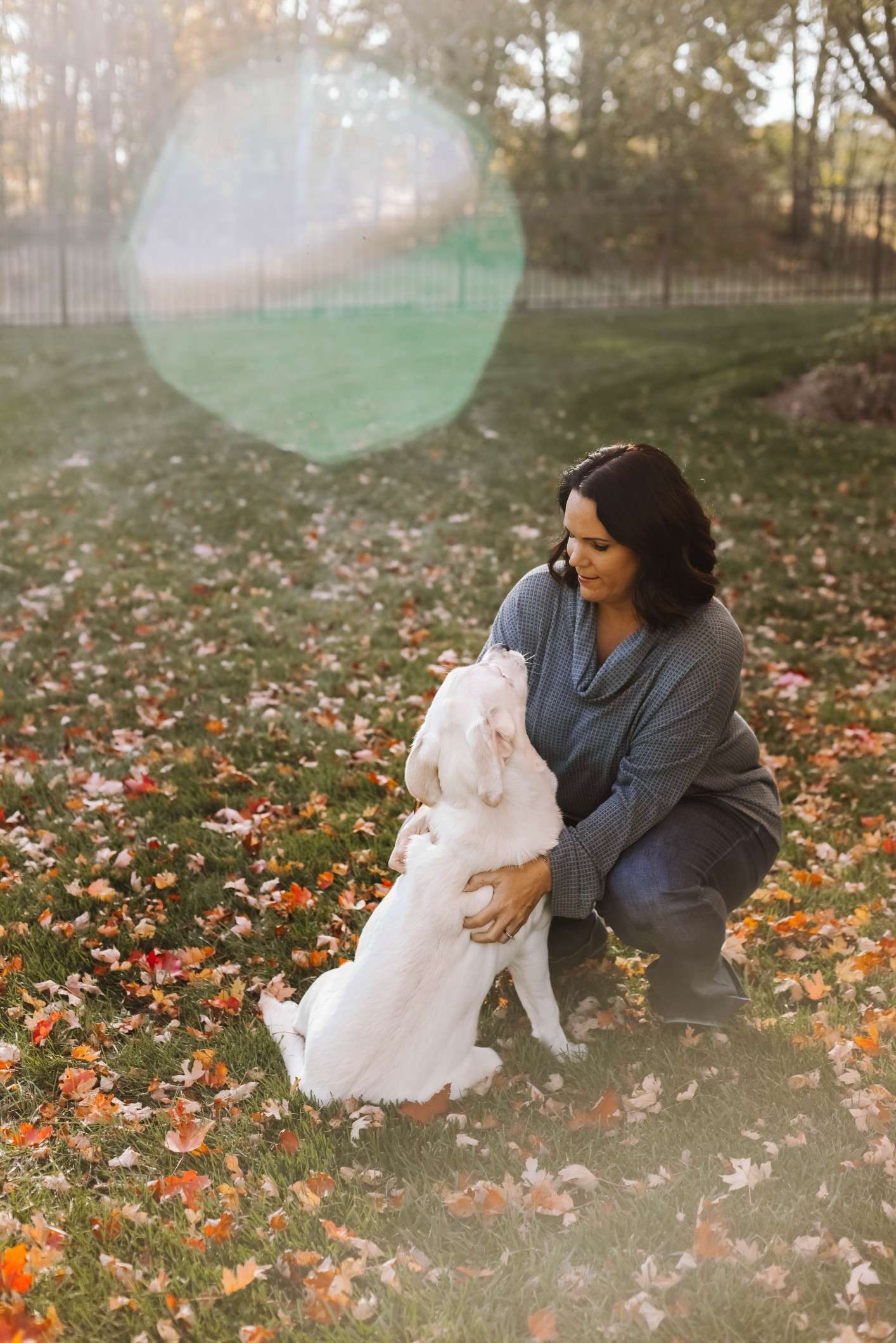 Contact Us | LaPoe Labradors